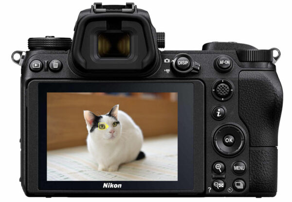 Z 6 - Nikon Pakistan